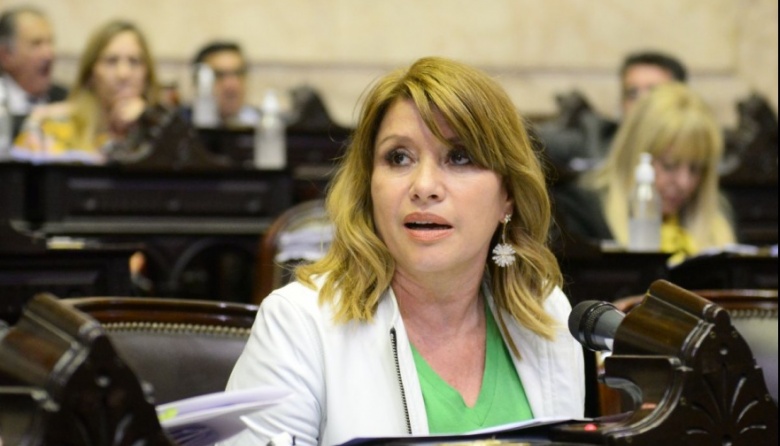 Litza: “Estamos dejando de lado un país con un modelo democrático ...