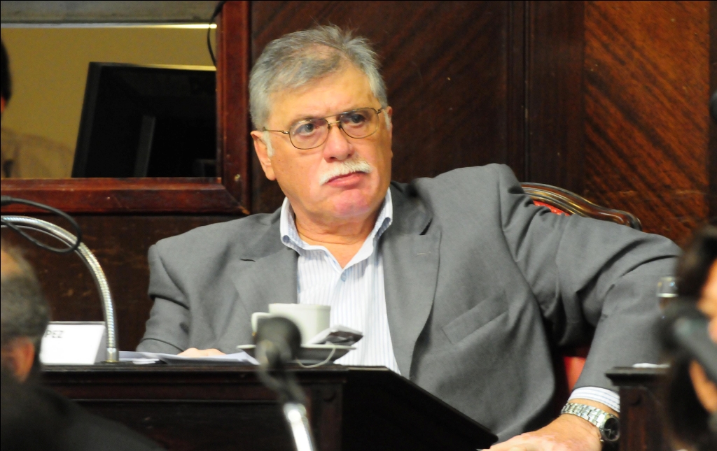 El radicalismo pide por la reelección de Vidal - Política del Sur